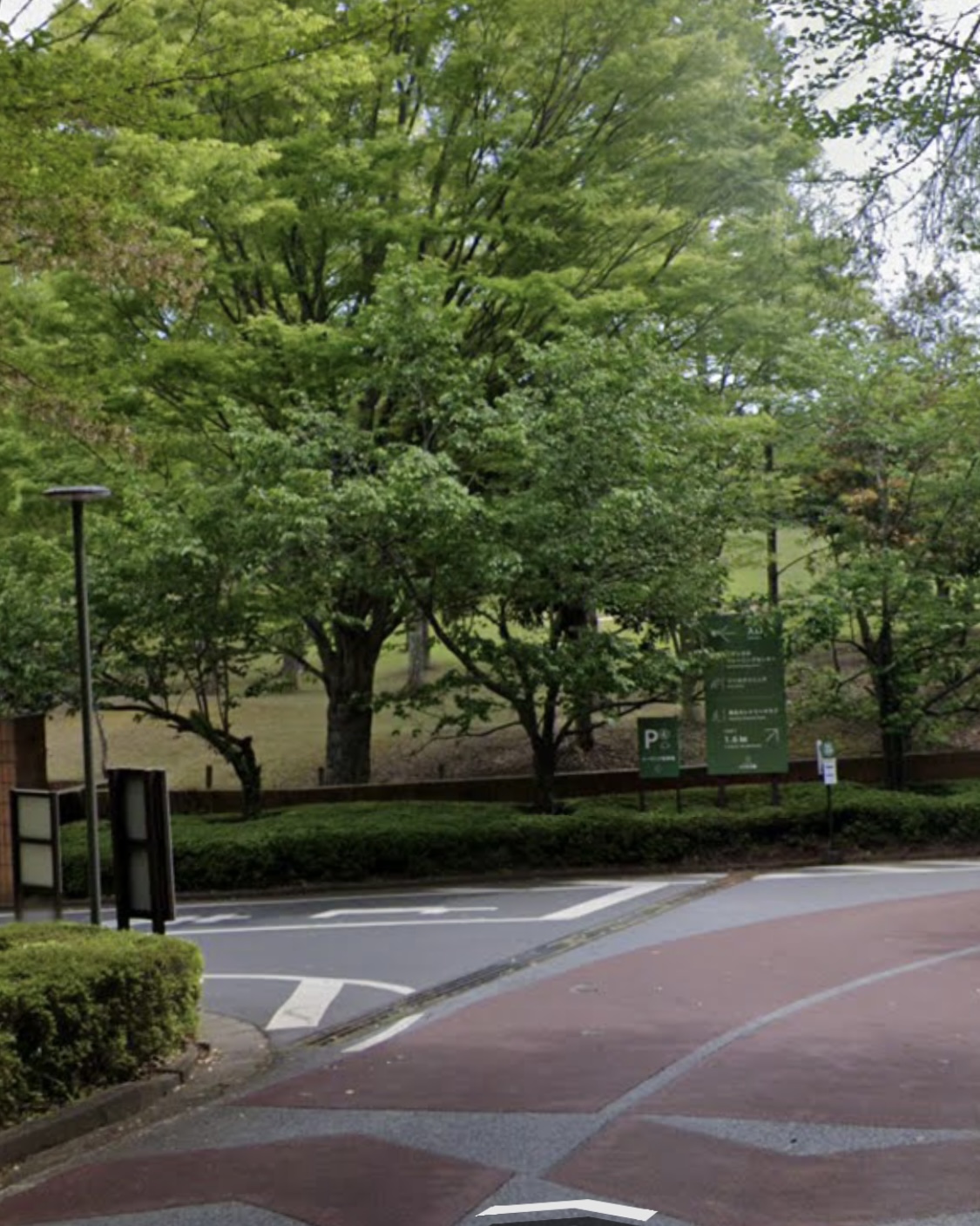 千葉ターザニアつまらない？行き方やキッズコースについて解説！！ | samayuママの3人子育てブログ